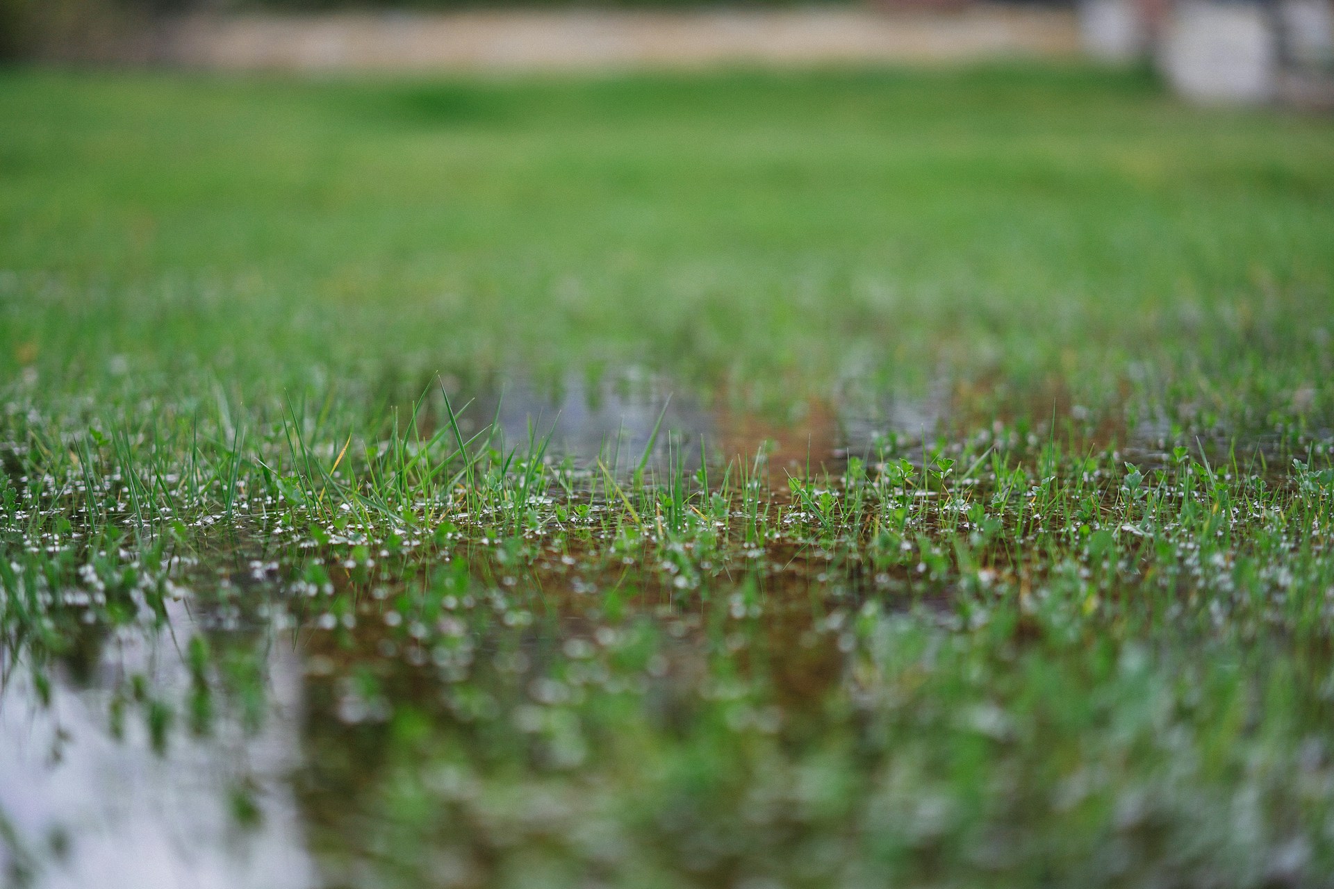 Quick Ways to Check the Quality of Yard Drainage – C&T Landscaping